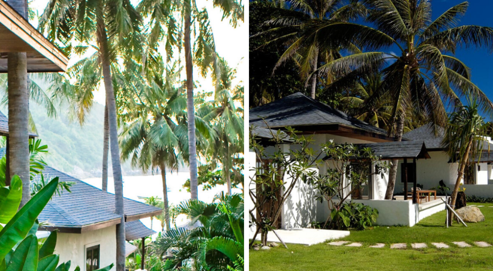 The Story Behind – The Racha