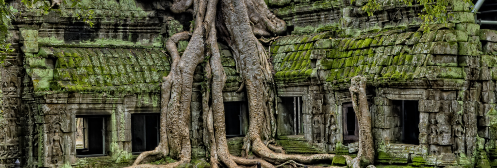 Cambodia – Integrated Customer Services | Red Elephant Reps