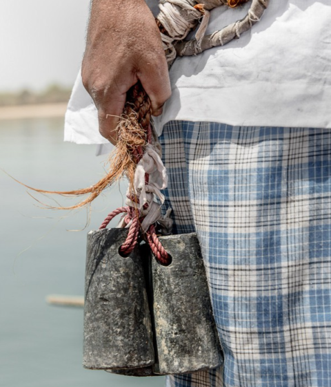 The Story of the United Arab Emirates Pearl Divers